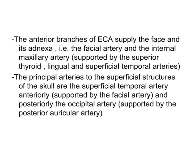 Anatomy of the external carotid artery (ECA) | PPT | Death, Injury, or ...