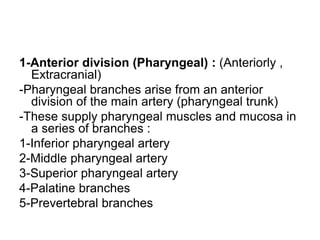 Anatomy of the external carotid artery (ECA) | PPT