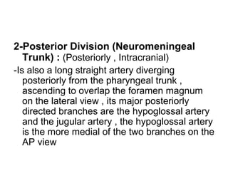 Anatomy of the external carotid artery (ECA) | PPT