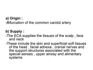 Anatomy of the external carotid artery (ECA) | PPT