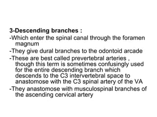 Anatomy of the external carotid artery (ECA) | PPT