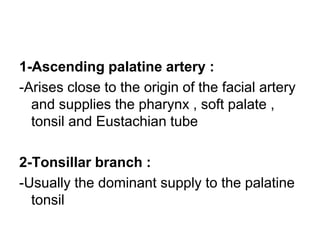 Anatomy of the external carotid artery (ECA) | PPT
