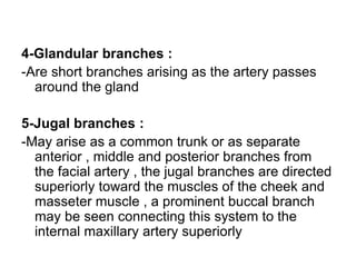 Anatomy of the external carotid artery (ECA) | PPT
