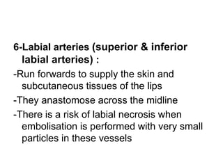 Anatomy of the external carotid artery (ECA) | PPT