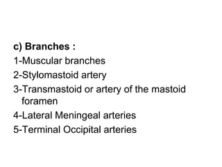 Anatomy of the external carotid artery (ECA) | PPT