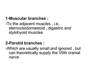 Anatomy of the external carotid artery (ECA) | PPT