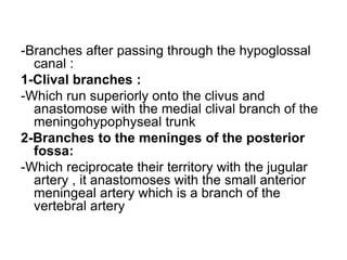 External Carotid Artery Branches Ppt