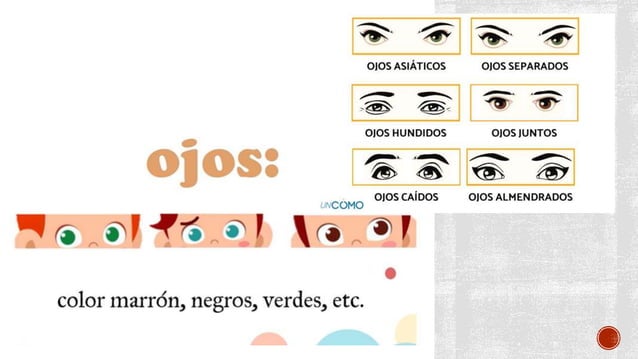 RASGOS FÍSICOS PARA NIÑOS | PPTX