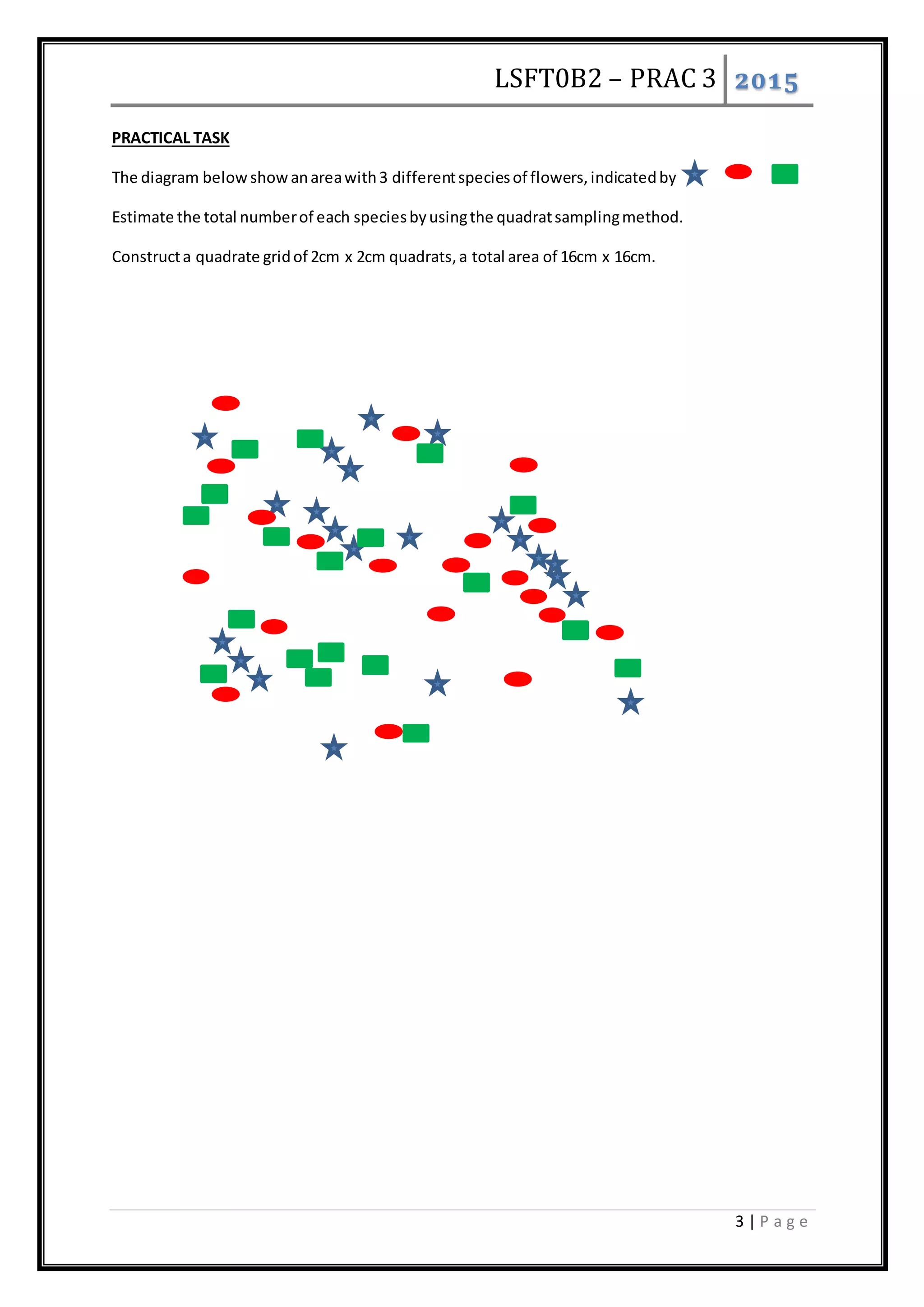 PRACTICAL 3 QUADRANT METHOD | DOCX