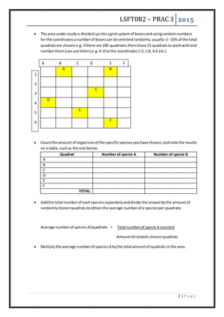 PRACTICAL 3 QUADRANT METHOD | DOCX