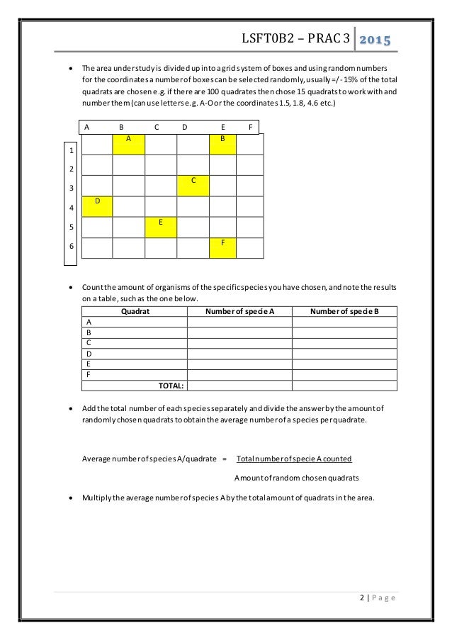 Practical 3 Quadrant Method