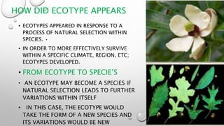 Ecades and ecotype | PPTX