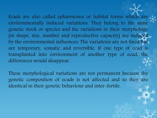 Ecads and ecotypes | PPTX