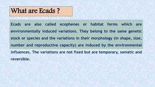 Ecads and ecotypes | PPTX