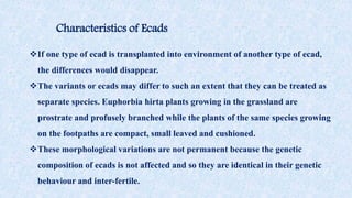 Ecads and ecotypes | PPTX