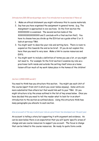 E100 ECA guide | PDF