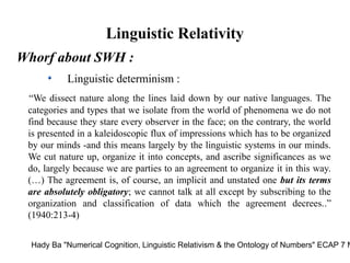 Numerical Cognition, linguistic relativity and the ontology of numbers ...