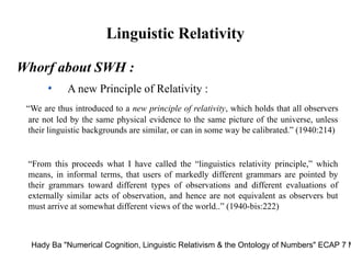 Numerical Cognition, linguistic relativity and the ontology of numbers ...