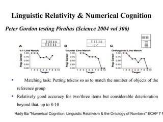 Numerical Cognition, linguistic relativity and the ontology of numbers | PDF