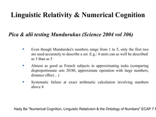 Numerical Cognition, linguistic relativity and the ontology of numbers ...