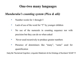 Numerical Cognition, linguistic relativity and the ontology of numbers ...