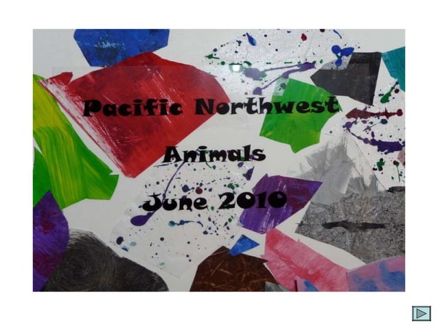 Pacific Northwest Animals | PPT