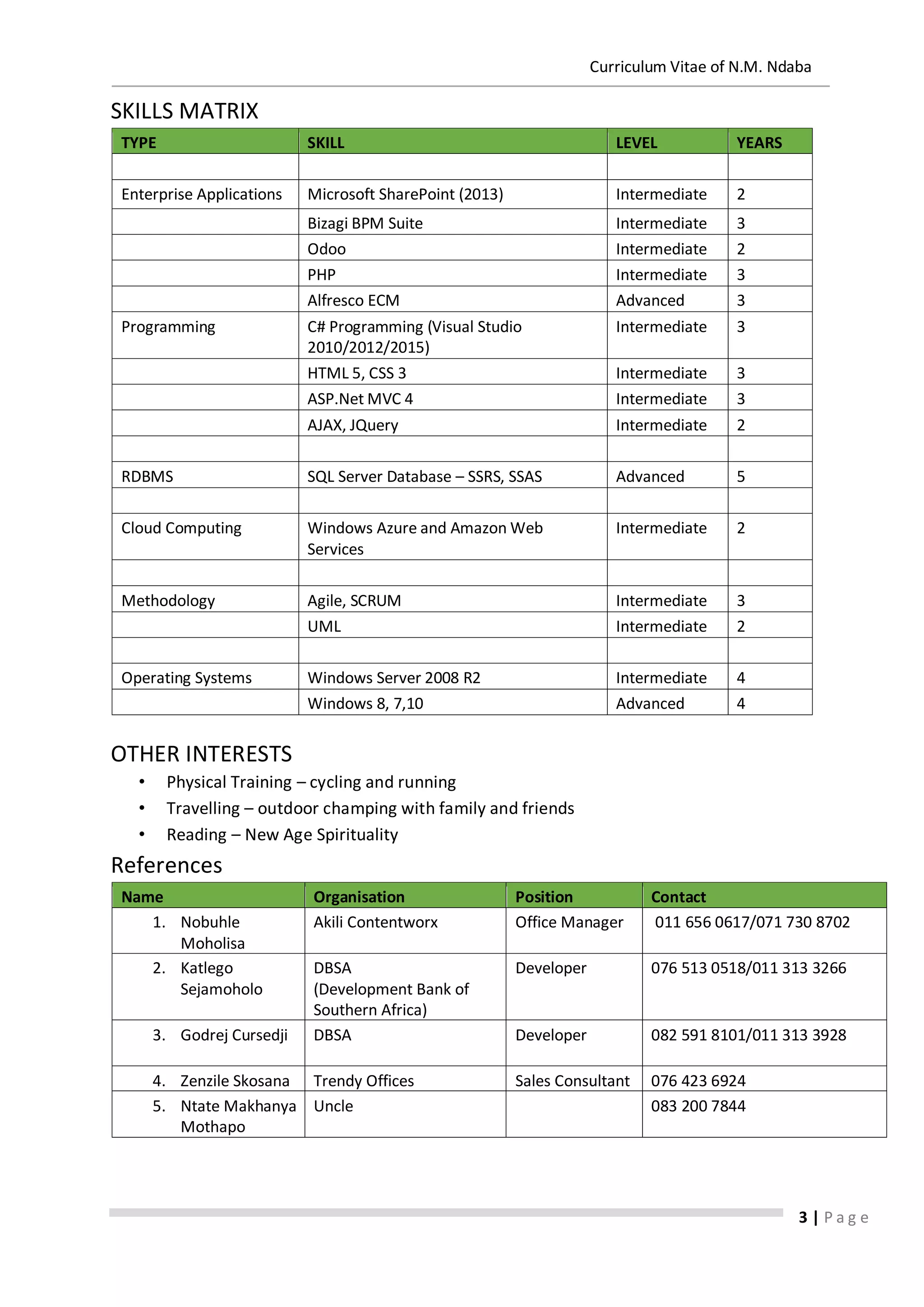 Curriculum Vitae of Nathi Ndaba no image | PDF