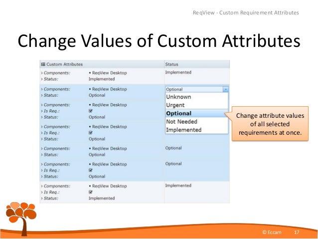 Custom Requirement Attributes