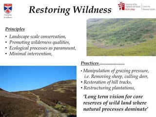 The Return of the Wild: rewilding Scotland | PPT
