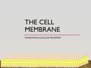EC Cell Transport Lesson 15 Biology.pptx