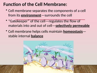 EC Cell Transport Lesson 15 Biology.pptx