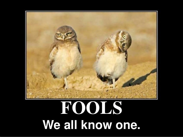 Being Foolish With a Fool (Ecclesiastes 10:12-20)