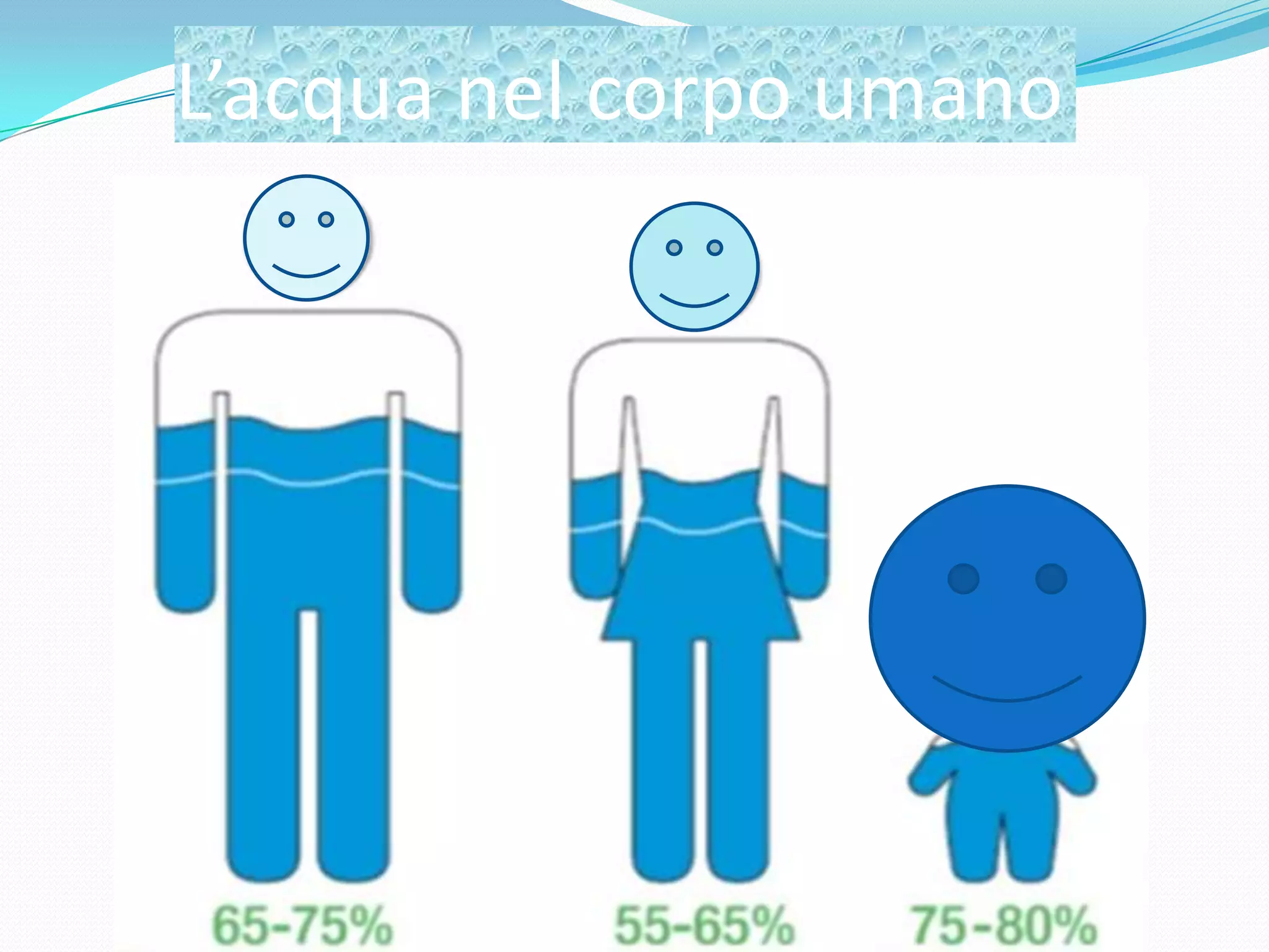 ecco a voi la mia presentazione di scienze | PPTX