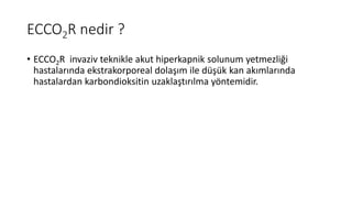 ECCO2R | PDF
