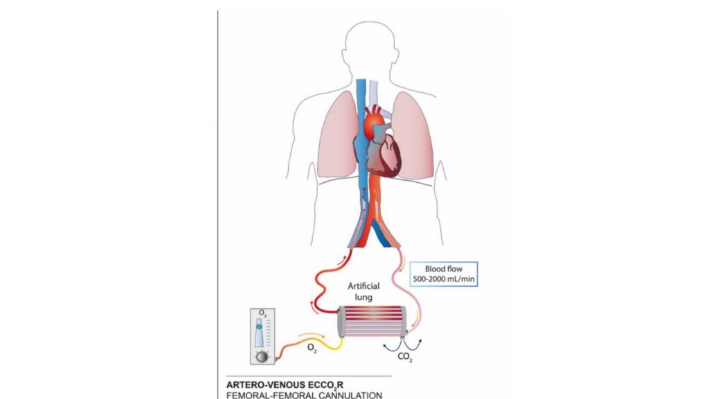 ECCO2R