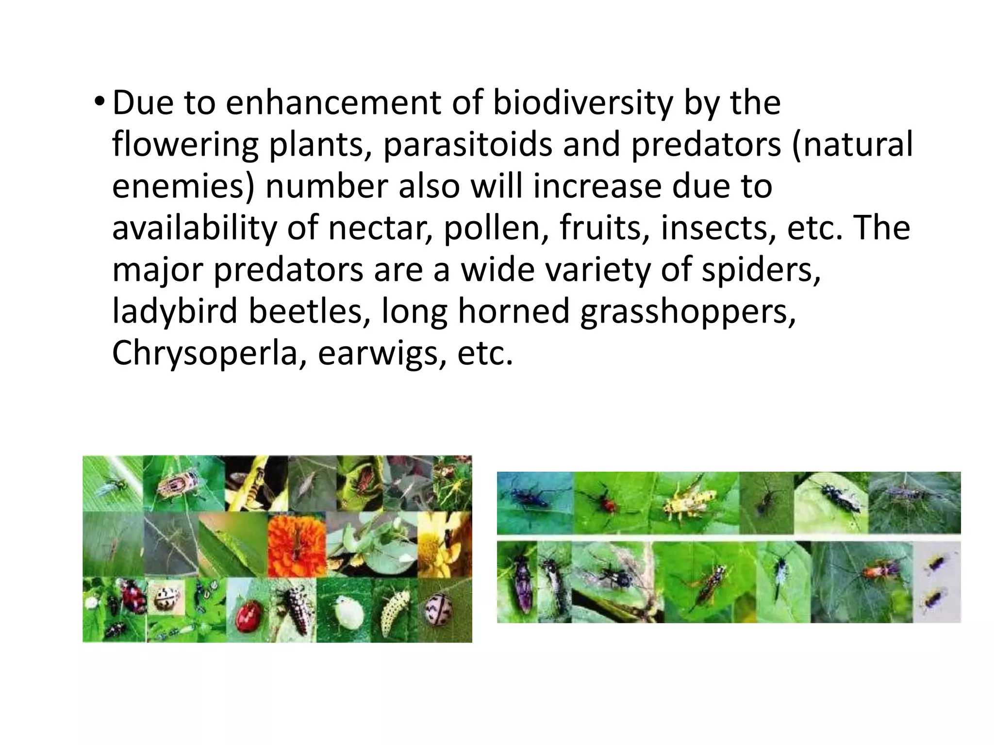 Ecological manipulation in pest management | PPTX