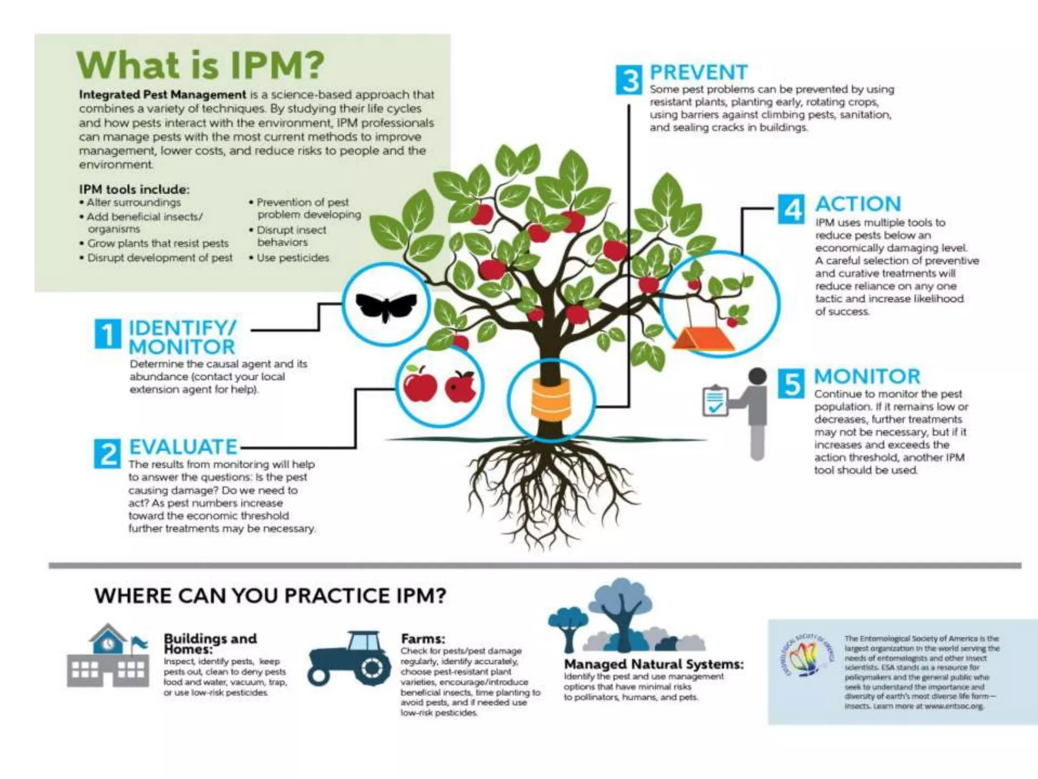 Ecological manipulation in pest management | PPTX