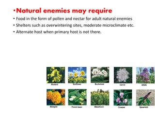 Ecological manipulation in pest management | PPTX