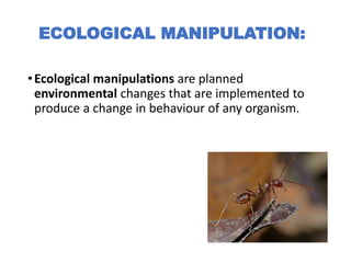 Ecological manipulation in pest management | PPTX