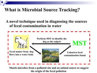 E. Coli Cooperative Monitoring Program | PPT