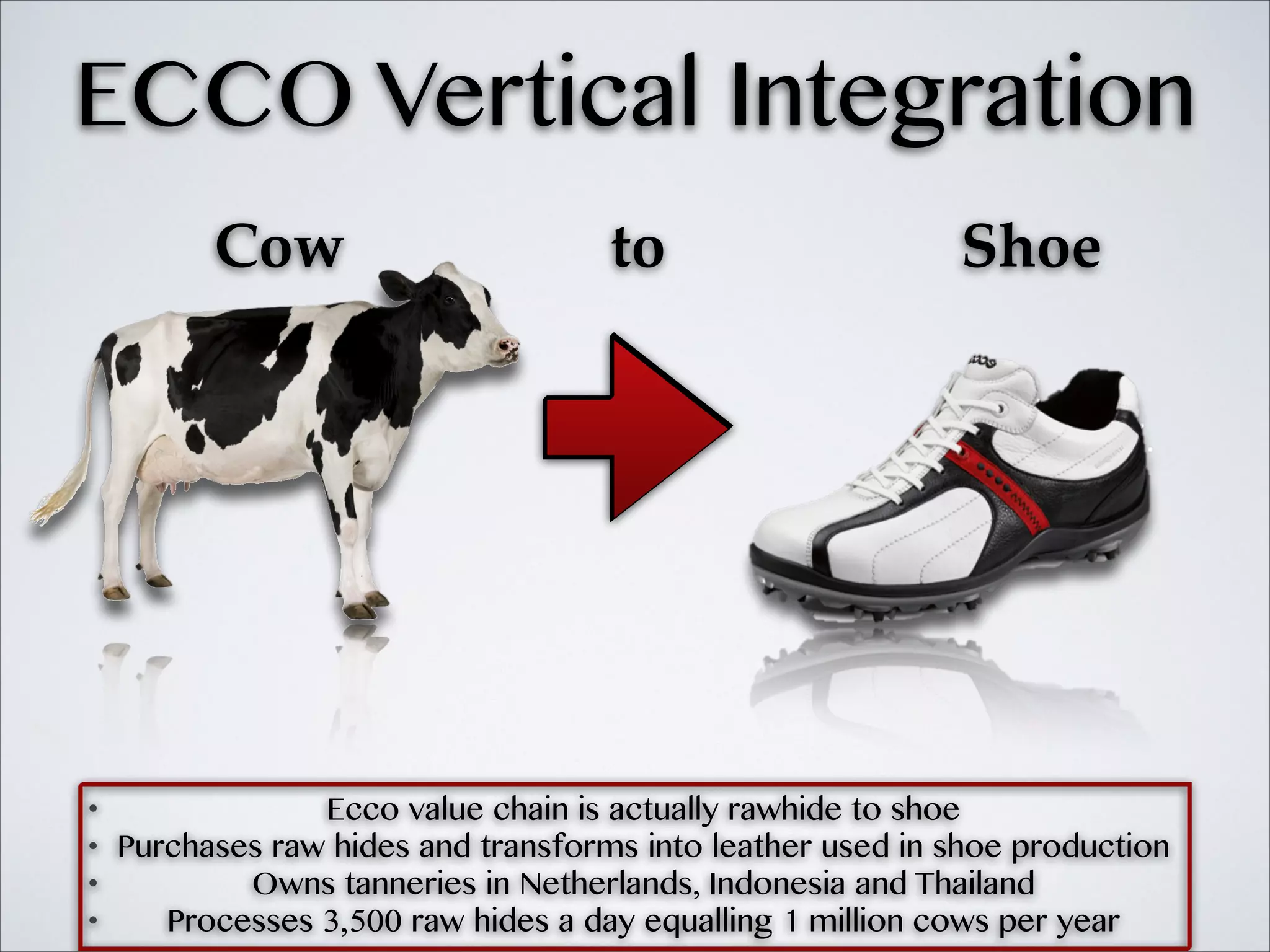 Ecco Supply Chain Analysis | PDF