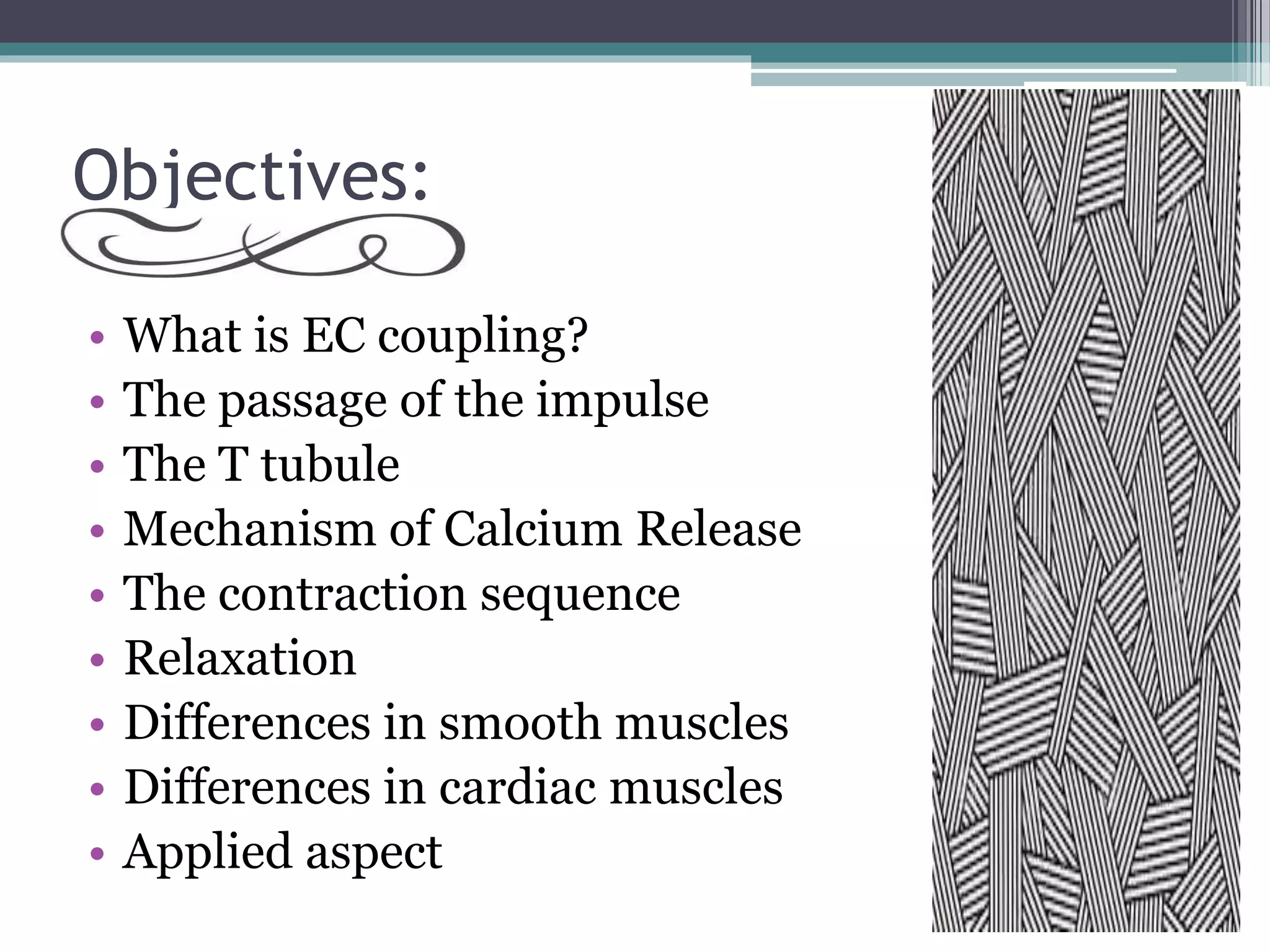 Excitation Contraction Coupling | PPTX