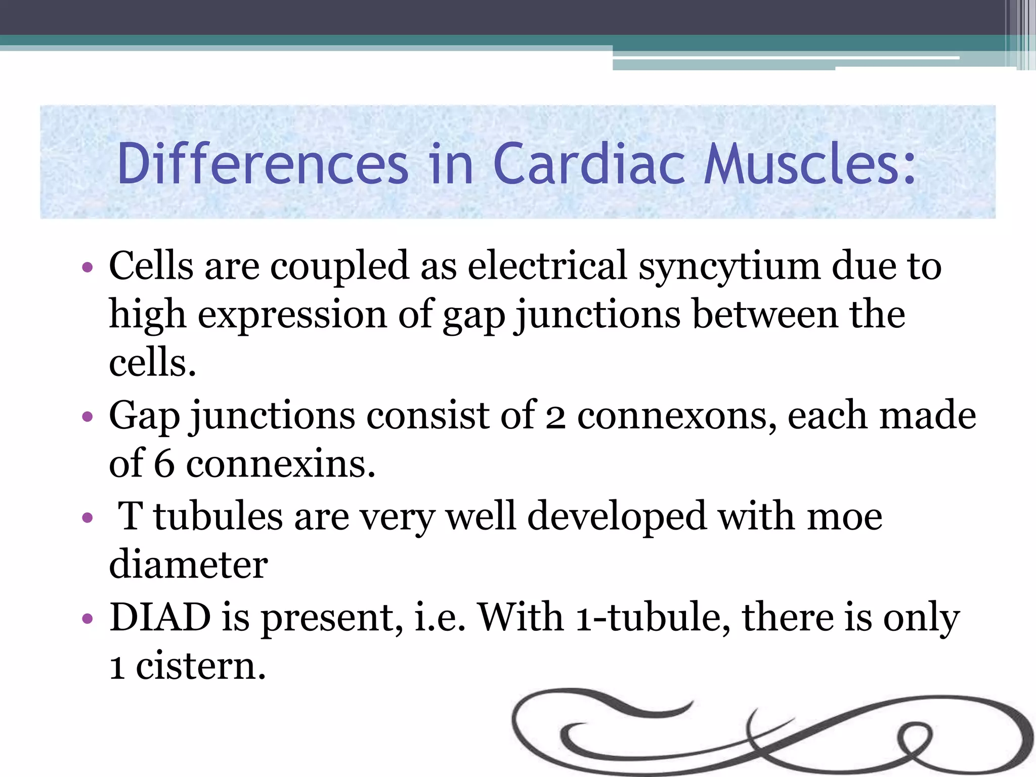Excitation Contraction Coupling | PPTX