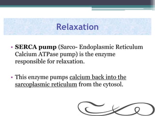 Excitation Contraction Coupling | PPTX