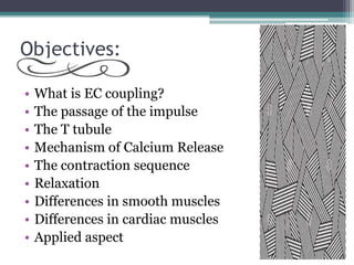 Excitation Contraction Coupling | PPTX