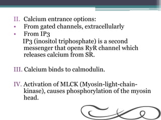 Excitation Contraction Coupling | PPTX
