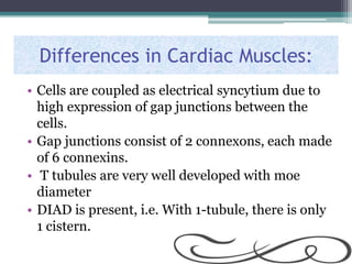 Excitation Contraction Coupling | PPTX