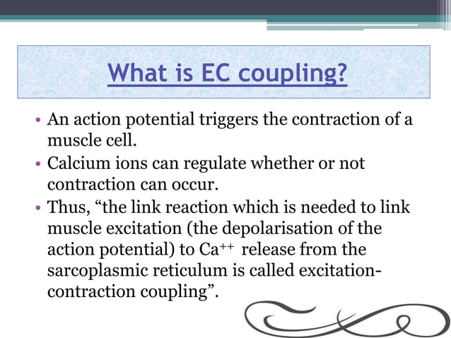 Excitation Contraction Coupling | PPTX