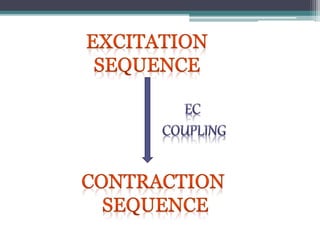 Excitation Contraction Coupling | PPTX