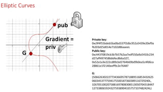 Elliptic Curve Cryptography: Points on the curve | PDF